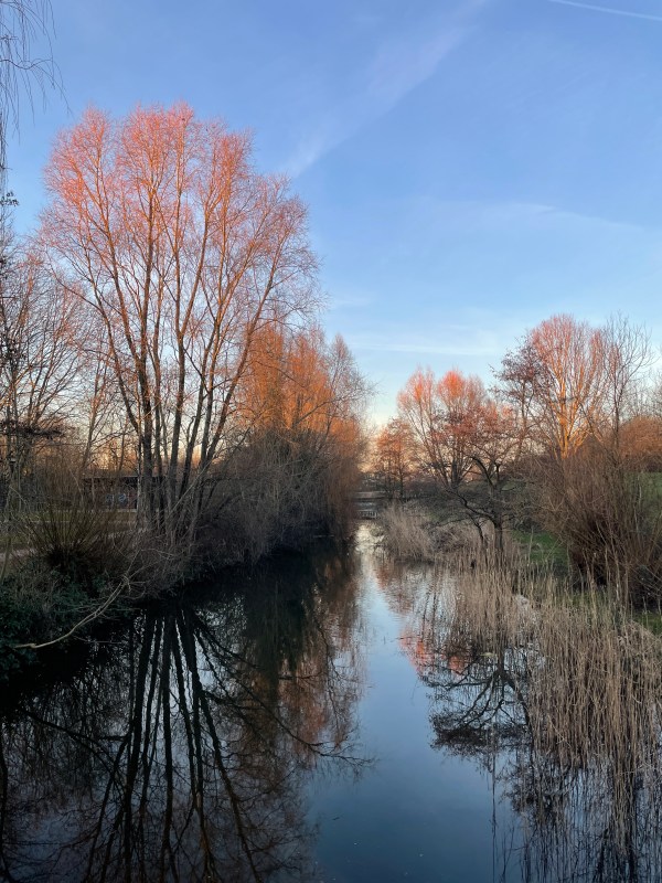 2023’s Recap and Reflection – Liz's Journey